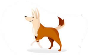 Mocos en perros, ¿cómo solucionarlo? - SiempreCan